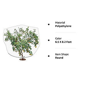 PURPLE STAR 1N 6.5 x 8.2 Feet Insect Bird Barrier Netting Mesh with Drawstring -Garden Bug Netting Plant Cover for Protect Plant Fruit Flower from Insect Bird