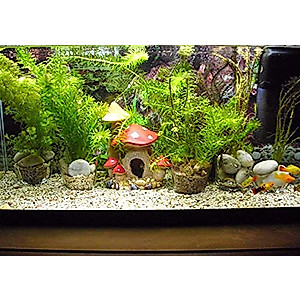 Mairuker Aquarium Mushroom House,Fish Tank Cave Ornament Pleco Caves for Fish Tank Hideaway Decor and Fairy Garden Decorations