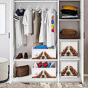 Basset Hound Storage Basket Storage Bin Rectangular Collapsible Toy Boxs Clothes Toys Bin Organizer for Home Toys Clothes Kids