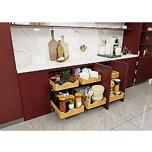 OCG 2 Tier Pull Out Drawers for Cabinets 11" W x 21" D, Double Tier Slide Out Wood Cabinet Organizer, Pull Out Shelves for Base Cabinet Organization in Kitchen, Pantry, Bathroom