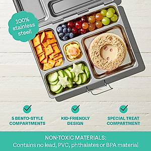 PlanetBox Rover Stainless Steel Bento Lunch Box with 5 Compartments for Adults and Kids, Sharks Carry Bag and Magnets