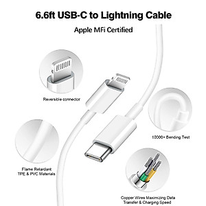 20W Dual Port Fast Charger for iPad 9th 8th 7th Generation 10.2 inch, iPad Air 3/2, iPad Mini 5, Foldable Wall Charger with 6.6ft USB-C to Lightning Fast Charging Cable