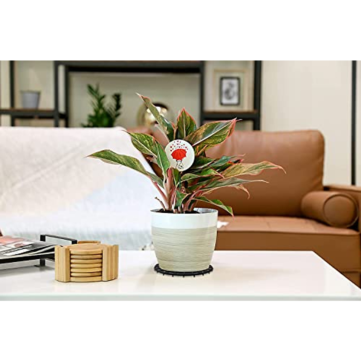 4 PCS Heavy Plant Riser for Pots Outdoor, Pot Risers Plant Trivet Pot Elevator Plant Elevator - Size Adjustable, Protect Deck and Patio Floor, Provide Plants Airflow and Drainage, 11.75 in