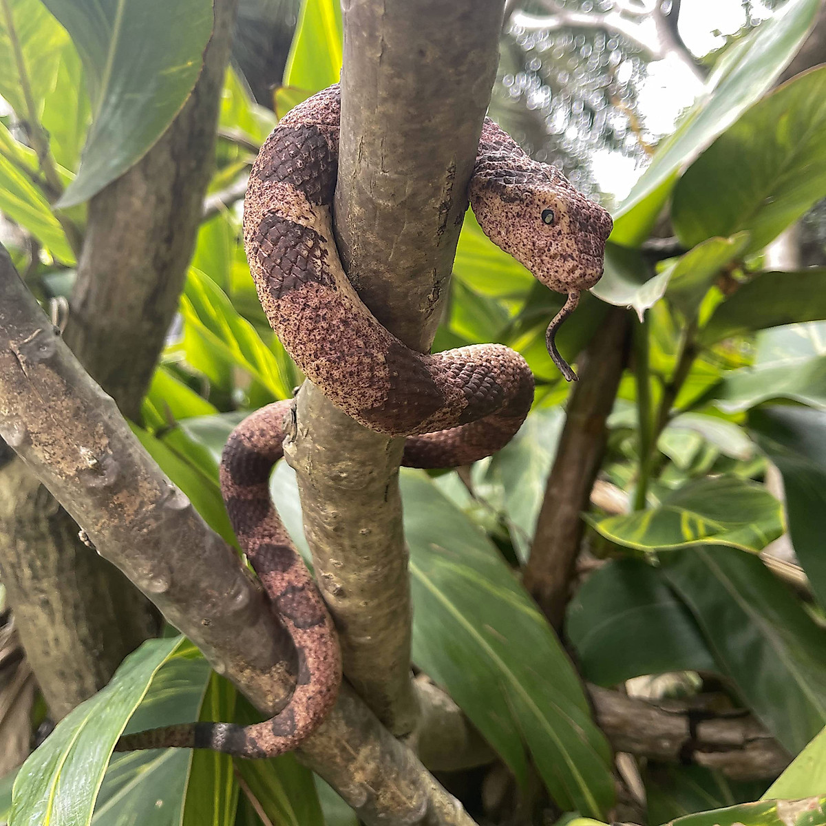 HOHAJIU Fake Snake Toy Realistic Rubber Snake Toy 10.3" Rattlesnake Figurine Scare Birds, Prank Props for Halloween Party, Gag Gift for April Fool's Day