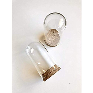 N/ 1 Pieces Clear Glass Dome Cover Cloche Bell Jar Succulent Terrariums w/Wooden Cork Base Home Study Room Decor Beauty and The Beast