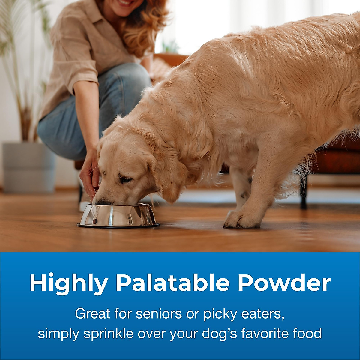 Pet-Ag Nutri-Mixer Digestive - 12 oz - Milk-Based Food Topper for Dogs & Puppies 12 Weeks and Older - Easy to Digest