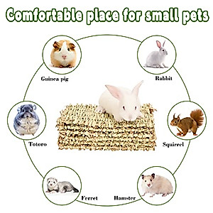Grass House for Rabbits (1pc) and Grass mat for Rabbit Bunny(2pcs) Sangle Sopffy, Hand Woven Straw Hut, Small Animal Cages Hay Mat for Guinea Pig Parrot Rabbit Bunny Hamster Chinchilla Squirrel…