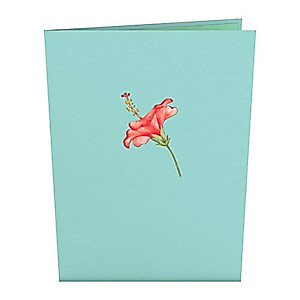 Lovepop Hibiscus Bloom Pop Up Card, 5x7-3D Greeting Card, Pop Up Paper Flower Card, Mother's Day Pop Up Card, Card for Mom, Wife or Friend, Pop Up Anniversary Card, Thinking of You