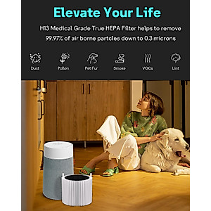 2 Pack Mini Max Replacement Filter Compatible with Blueair Blue Pure Mini Max Air Pur-ifiers, True HEPA H13 Filter & Activated Carbon FMINI Filter Replacement Compatible with Blue Pure Mini Max
