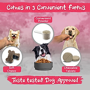 Vital Planet - Vital Dog Multi Vitamin Chewable Tablet Supplement for Everyday Health with Vitamins, Minerals and Antioxidants for Dogs - 30 Beef Flavored Chewable Tablets