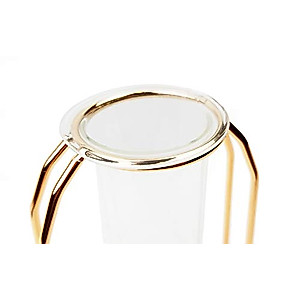 FSyueyun Desktop Glass Vase with Metal Frame，Modern Creative Hydroponics Vase Metal Flower Planter Terrariums Plant Glass-Gold (6.3Inch)