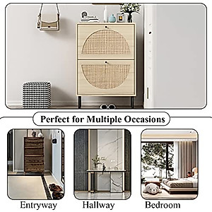 TehRecBT Rattan Shoe Cabinet with 2 Flip Drawers, Entryway Shoe Storage Cabinet with Flip Door & Metal Legs, Modern Freestanding Tipping Bucket Shoe Organizer for Entryway, Hallway, Bedroom