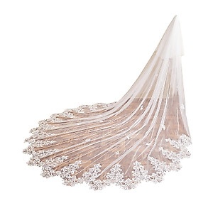 EllieWely Long Cathedral Length 2 Tier Sequin Lace Wedding Bridal Veil F09 3 M Ivory
