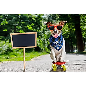 Ptzizi Funny Soon to Be Big Brother Blue Plaid Cotton Triangle Pet Dog Bandana Bibs Scarf for Pet Dog Lovers Gift
