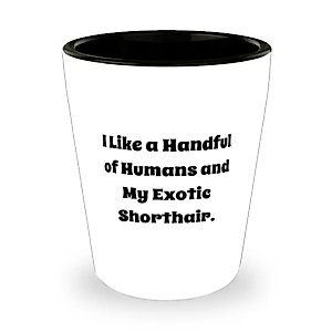 I Like a Handful of Humans and My Exotic Shorthair. Shot Glass, Exotic Shorthair Cat Ceramic Cup, Unique For Exotic Shorthair Cat