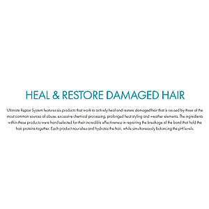 HAIR BAR NYC Ultimate Repair System Revival Conditioner | Hair Treatment for dry damaged hair | Deep conditioner for dry damaged hair | Keratin/Color Safe INFUSED WITH MARINE KERATIN (300ml 10.2fl.oz)