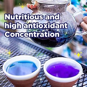 Butterfly Pea Flower Tea (3.52 Oz) Healthy herbal tea caffeine free and gluten free. Flower tea made with single ingredient for healthy skin and hair