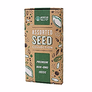 Mexican Seed Salsa Garden Collection | Basic Assortment | Grow Vegetables for Salsa, Hot Sauce, Pico De Gallo | 6 Non-GMO Vegetable Gardening Seed Packets: Jalapeno, Tomato, Cilantro, Onion, Chives, &