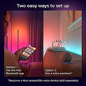 Philips Hue Gradient Ambiance Lightstrip Extension (1m/3ft Extension), Flowing Multicolor Effect, Works with Amazon Alexa, Apple Homekit and Google Assistant, Bluetooth Compatible, Requires Base Kit
