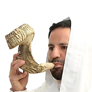 Holy Voice Yemeni Shofar Horn from Israel - Yemeni 24"-26" Shofar with Shofar Stand, Carrying Bag, Brush, Anti-Odor Spray – Made in Israel.
