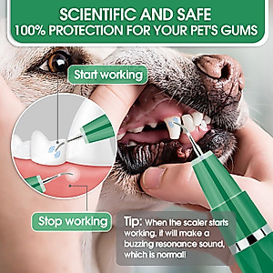 ofikpaloe Dog Teeth Cleaning Kit with Pet Oral Spray, Dog Dental Care-Plaque Remover for Teeth, Cleans and Relieves Tooth Sensitivity, Universal for Dogs & Cats, Dark Green