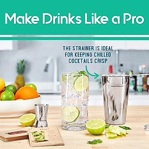 Mixology Bartender Kit - 8-Piece Silver Cocktail Shaker Set with Black Wood Stand, Recipe Cards, and Bar Accessories Ideas