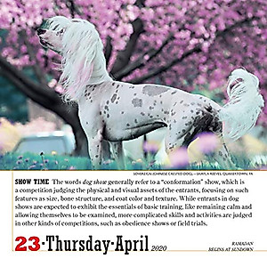 365 Dogs Page-A-Day Calendar 2020