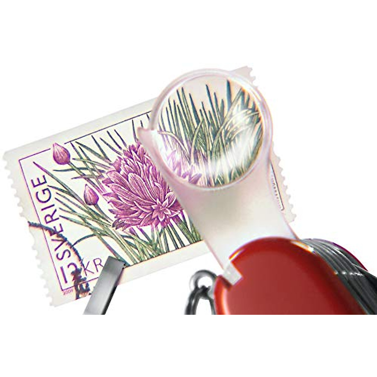 VICTORINOX 1.6791.63 Swiss Champ Wood, Swiss Army Knife, Multi-functional Knife, Disaster Preparedness Goods, Outdoor, Camping, Pliers, Scissors, Magnifying Glass, 33 Functions, Swiss Multi-Tool,