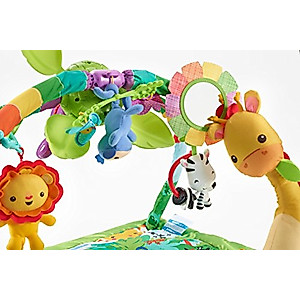 Fisher-Price Tiny Take-Alongs Gift Set, 6 Activity Toys For Baby To Rattle and Teethe