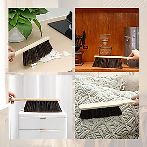 Tioncy 8 Pieces Wooden Dust Brush Bulk Hand Broom Bench Brushes with Long Wood Handle Soft Bristle Cleaning Brush Outdoor Furniture Brush for Cleaning Car Bed Sofa Fireplace Couch Clothes