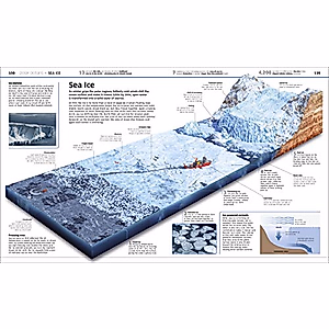 Knowledge Encyclopedia Ocean! (DK Knowledge Encyclopedias)