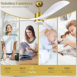 Wisful 56" Ceiling Fans with Lights Remote Control,Outdoor Wood Ceiling Fan with Light Memory for Patio Gazebo Living Room Bedroom(Gold and White)