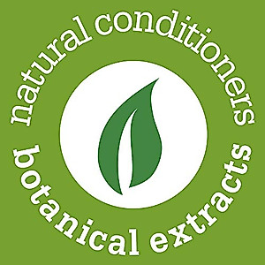 Cloud Star, Buddy Wash Green Tea Bergamot, 16 Ounce