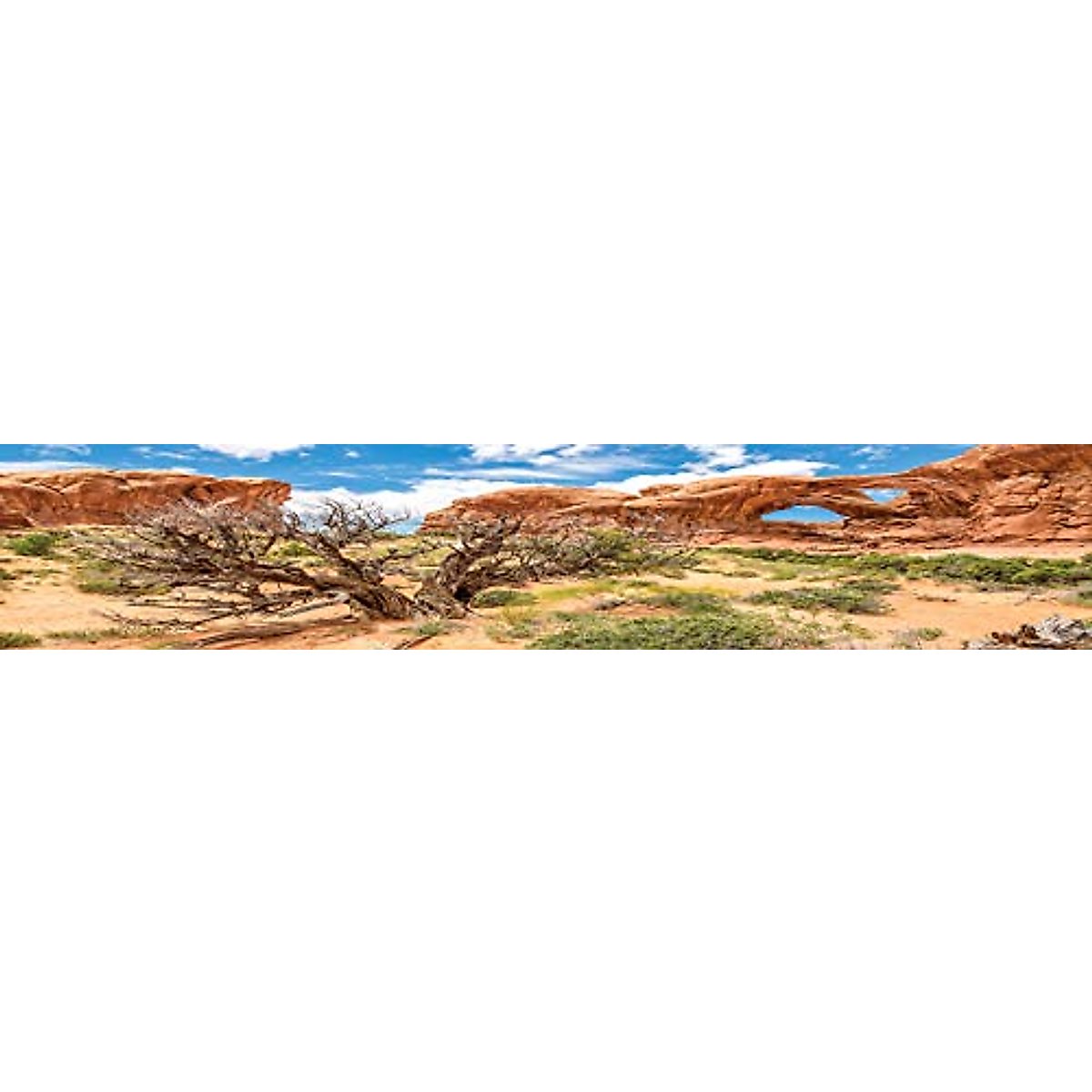 Reptile Habitat Background; Double Arch with Tree for 20L, 3-Sided Wraparound