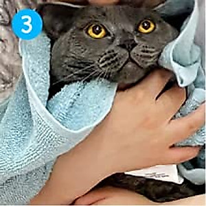 Mooncat Kitten & Cat Acne Chin Treatment | First Cuztomized Cat Acne Cleanse Lotion | Pionner in Cat Care Stuff | Concentrated Solution for Cat Chin & Tail | Prevention for Cats Acne -5 fl oz(150ml)