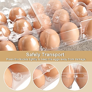 YAYODS 20 Pack Egg Cartons Cheap Bulk, Reusable Plastic Egg Cartons for Chicken Eggs, Holds up to 30 Eggs, Clear Empty Reusable Egg Carton for Home Ranch Chicken Farm, Business Market Display