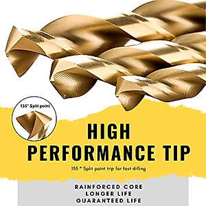 230 Pcs Titanium Coated Twist Drill Bit Set, 4241 HSS 135° Tip Metric Drill Bits Size from 1.0-10mm for Metalworking, Woodworking, Plastic Hole Drilling