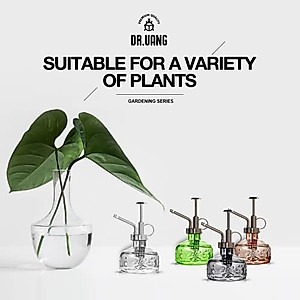 DR.UANG Plant Mister Spray Bottle for Plants Glass Indoor Plant Spritzer Mister Bottle Plant Gifts (Brown 180ml 6 inch)