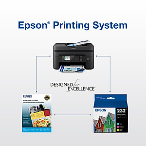 Epson T232 Black and Color Combo Ink Cartridges, Standard Capacity