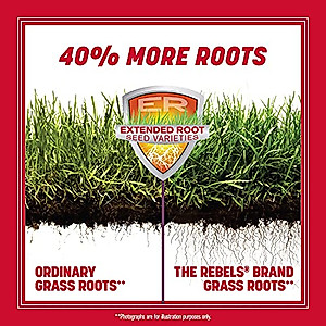 Pennington The Rebels Tall Fescue Grass Seed Mix 7 lb