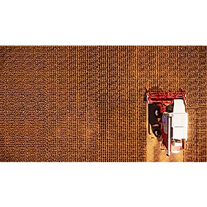 Real Farm - PlayStation 4