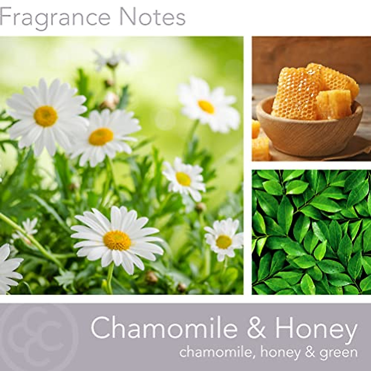 Colonial Candle Chamomile & Honey Scented Wax Melt, Wellness Collection, Soy-Based White Wax Blend, 6 Cube