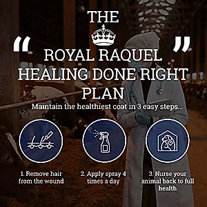 ROYAL RACQUEL Organic Wound Care for Horses, Dogs, Cats, Horses. Equine Healing Aid for Skin Repair, Clean Wounds, Relieves Allergy Skin, and Hot Spot. 12 oz Cleanser