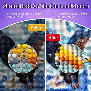 FILASLFT Diamond Painting,Paint by Diamonds for Adults, Diamond Art with Accessories & Tools,Wall Decoration Crafts,Relaxation and Home Wall Decor 12 x 16inch