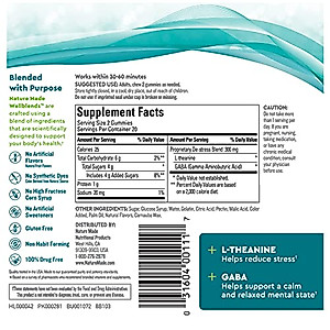Nature Made Wellblends Stress Relief Gummies, L-theanine to help reduce stress, with GABA, Same Day Stress Support, 40 Strawberry Flavor Gummies