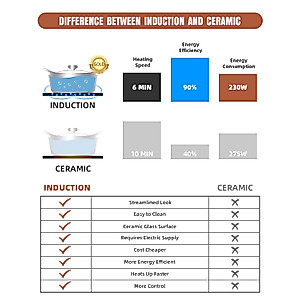 Empava Electric Stove Induction Cooktop Horizontal with 2 Burners in Black Vitro Ceramic Smooth Surface Glass 120V, 12 Inch