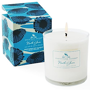 Soap & Paper Factory North Shore Large Soy Candle, 9.5 oz