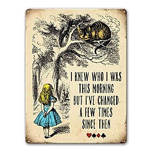 Agedsign Alice in Wonderland Poster, Vintage Metal Tin Sign I Know Who I was This Morning Quotes Decor Gifts for Girls Living Room Party Decorations 12" x 8"
