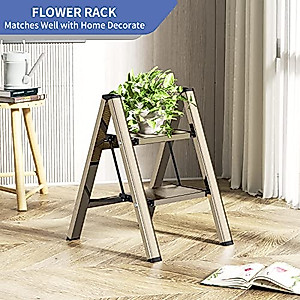 2 Step Ladder Folding Step Stool with Anti-Slip Sturdy and Wide Pedal, Aluminum Portable Lightweight Step Stool for Adults Multi-Use for Home Kitchen, Gold, 330 lbs