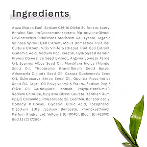 NATURELAB. TOKYO Perfect Repair Shampoo: Eco-Friendly Refill Pouch: Reparative Shampoo to Replenish and Restore Damaged, Color Treated Hair and Strengthen New Hair I 22.9 FL OZ / 680ml